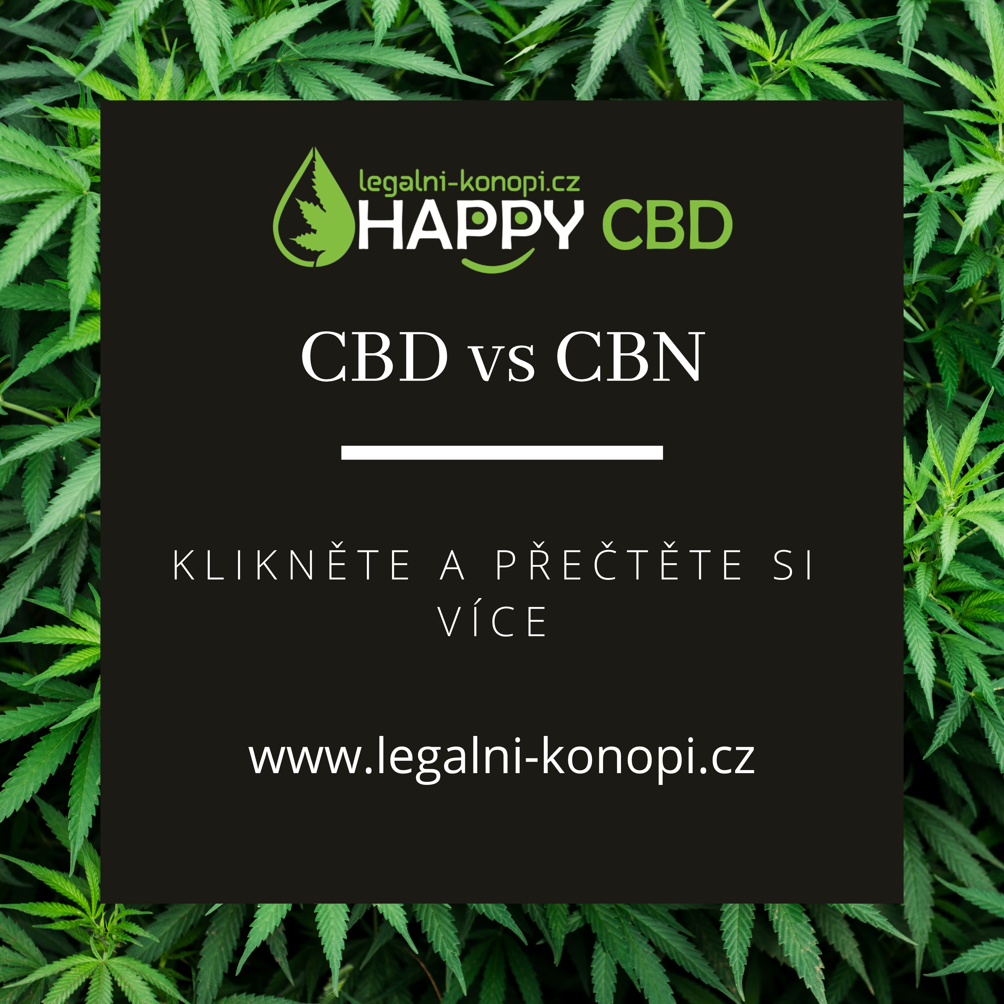 CBD vs CBN - Legalni-konopi.sk